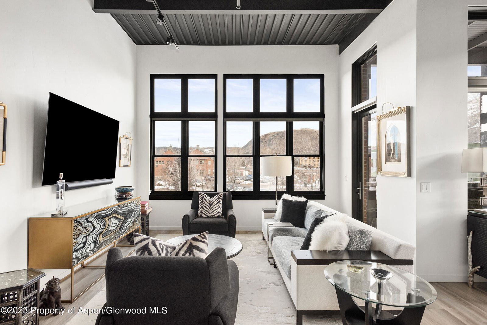 231 Robinson Street Unit ##R-224, Basalt, 81621