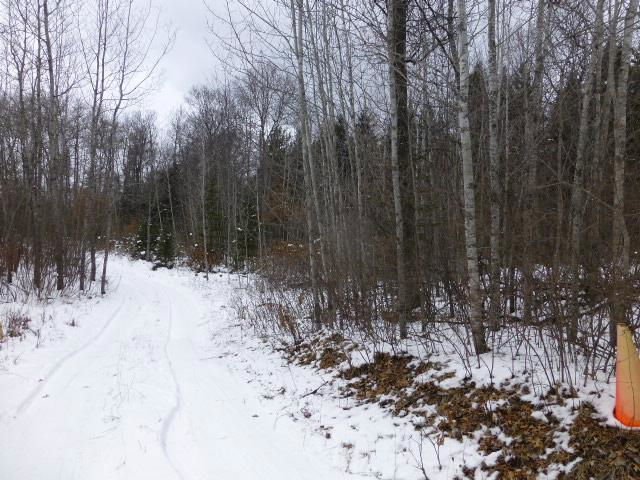 N15105 TOWN CORNER LAKE Road, Amberg, WI 54102, 54102