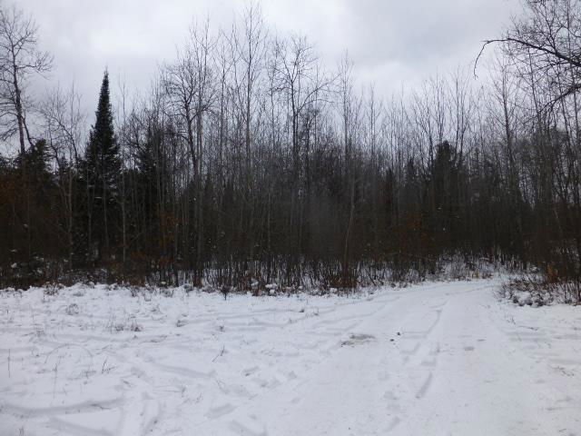 N15105 TOWN CORNER LAKE Road, Amberg, WI 54102, 54102