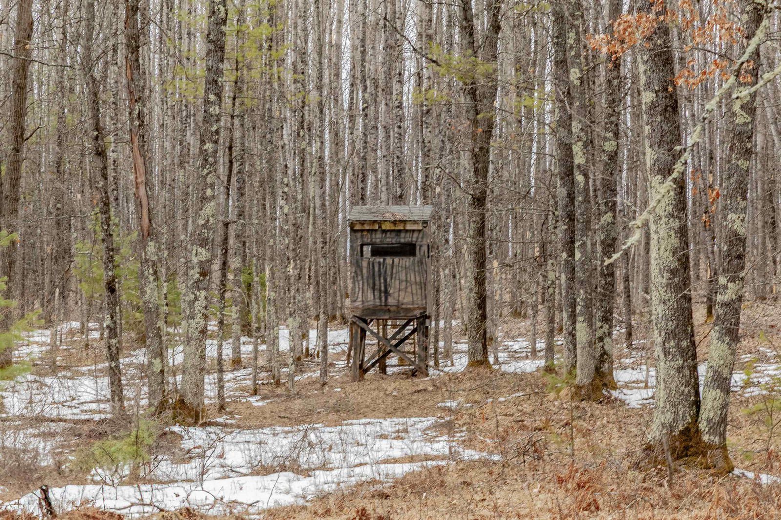 N13549 MATHIS Road, Athelstane, WI 54104, 54104