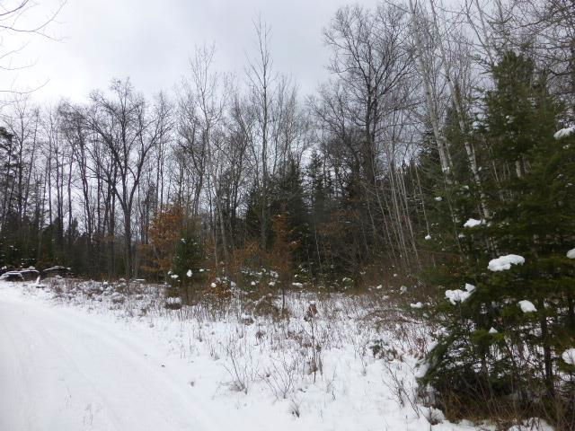 N15105 TOWN CORNER LAKE Road, Amberg, WI 54102, 54102