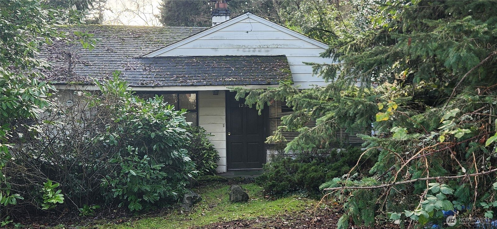 1253 N 143rd Street, Seattle | MLS# 2466833 | Skyline Properties, Inc ...