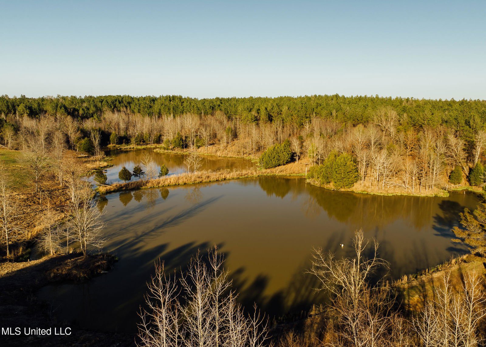 Alfred Phelps Lane, Lexington, 39095