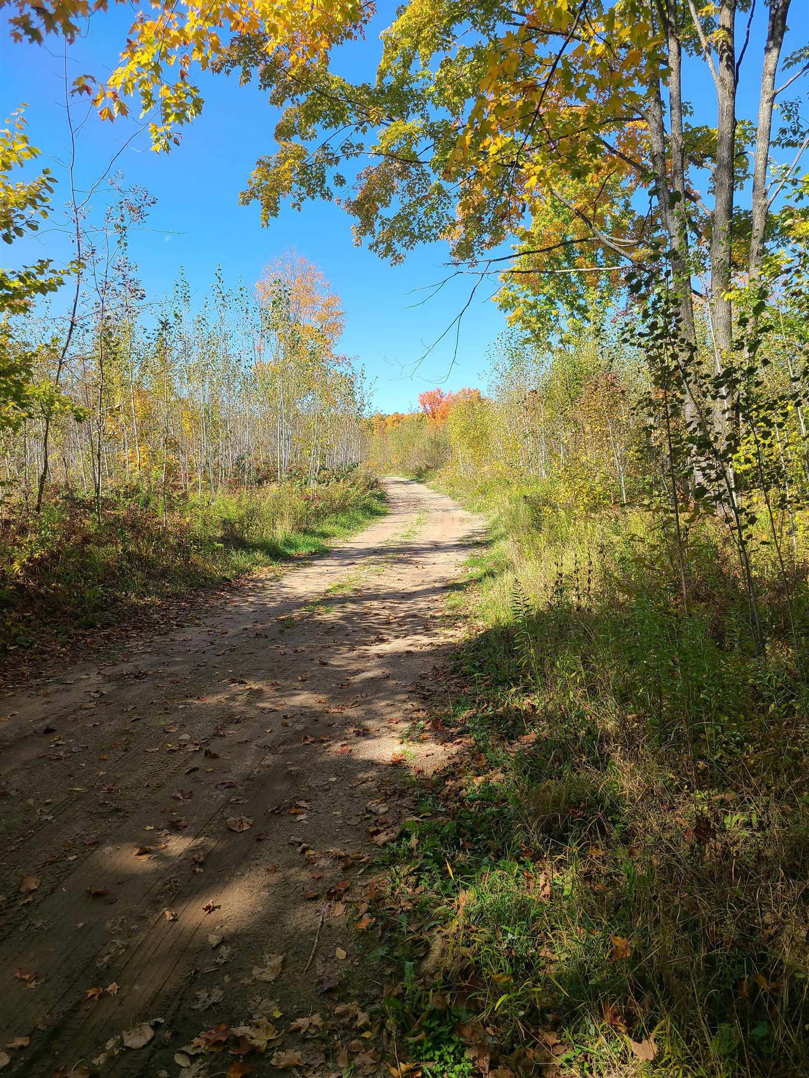 COUNTY HWY C, Athelstane, WI 54104, 54104