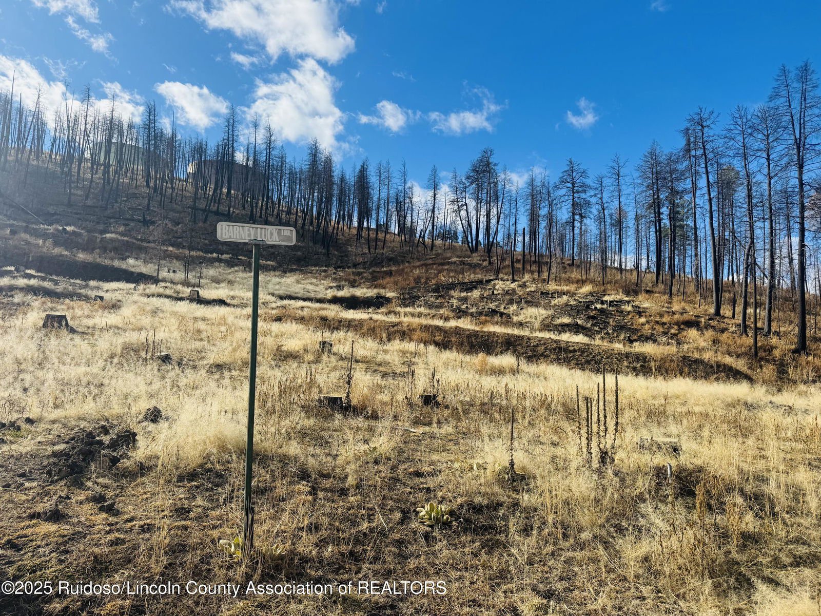 174 Barney Luck Trl, Ruidoso, 88345