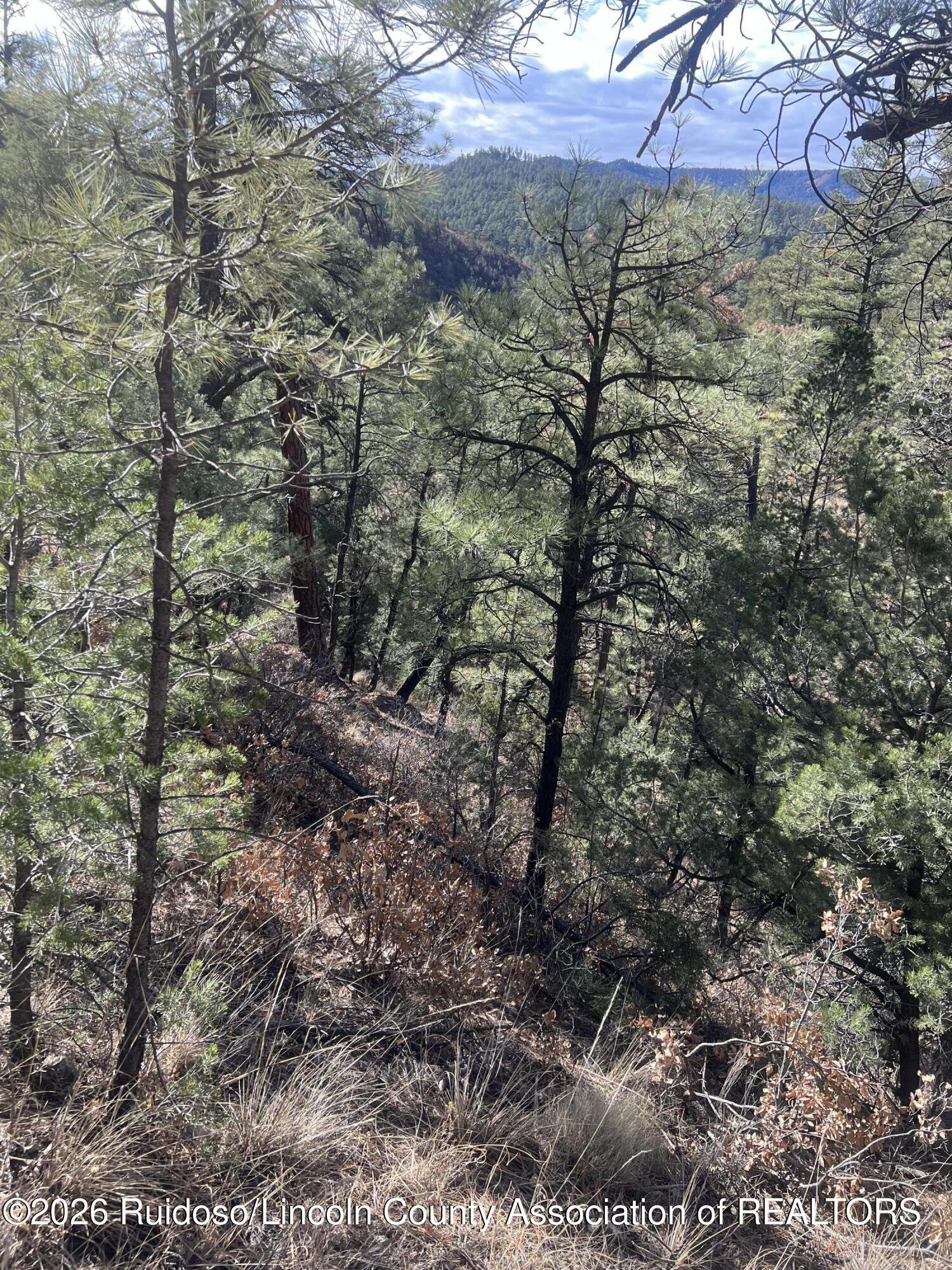 - Gresswell Road, Ruidoso, 88345