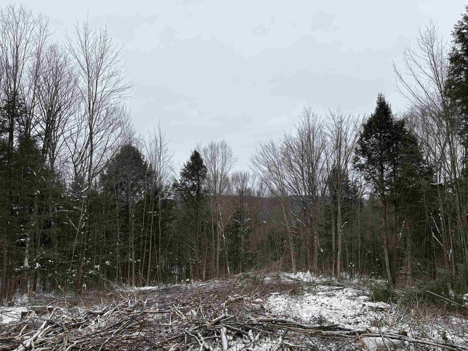 Fall Brook Rd, Wheelock, 05851-000