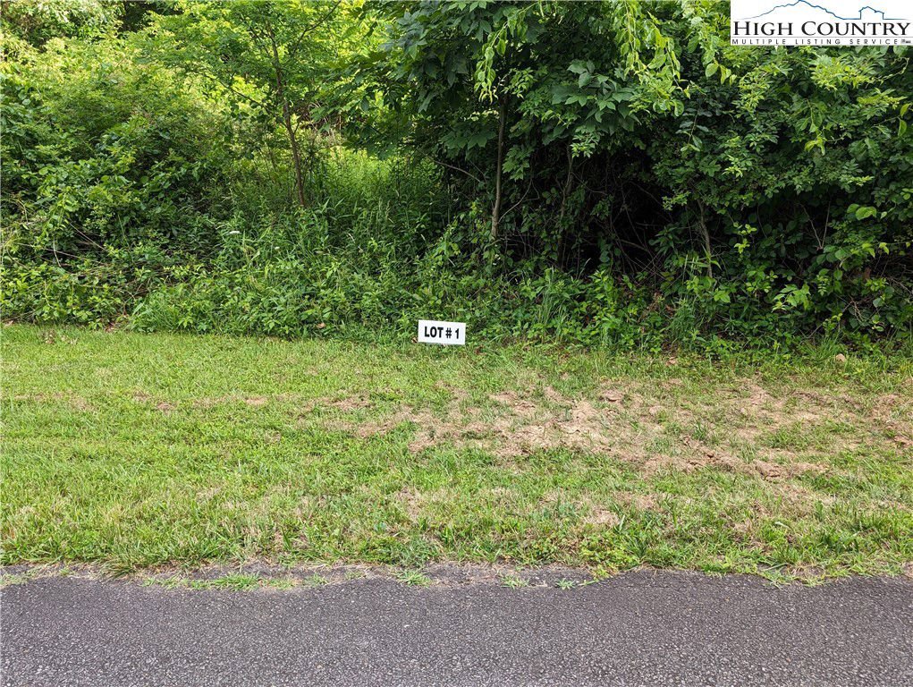 Lot 1 Briarwood Lane, Sparta, 28675