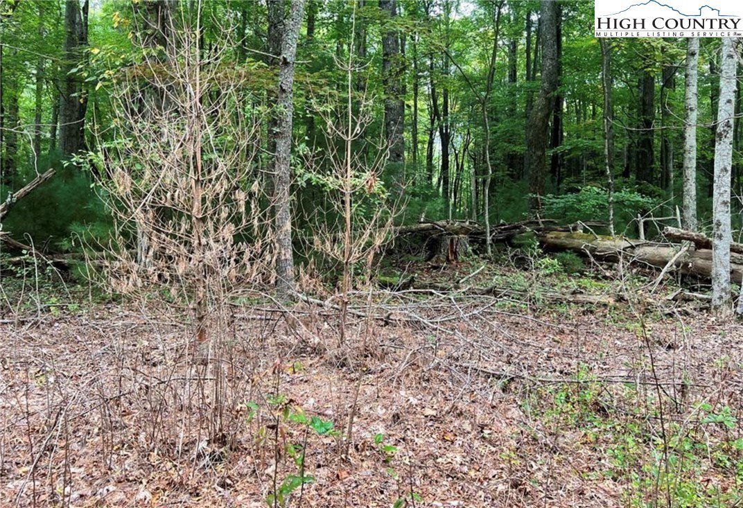 TBD Oak Tree Lane, Jefferson, 27640
