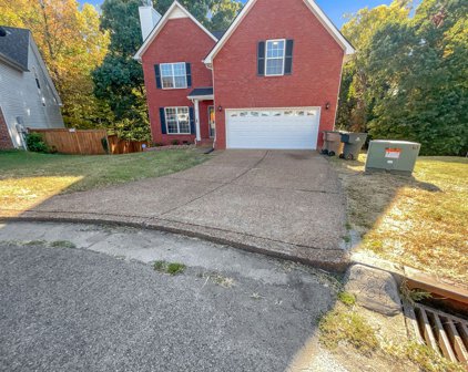 Zach Taylor Real Estate