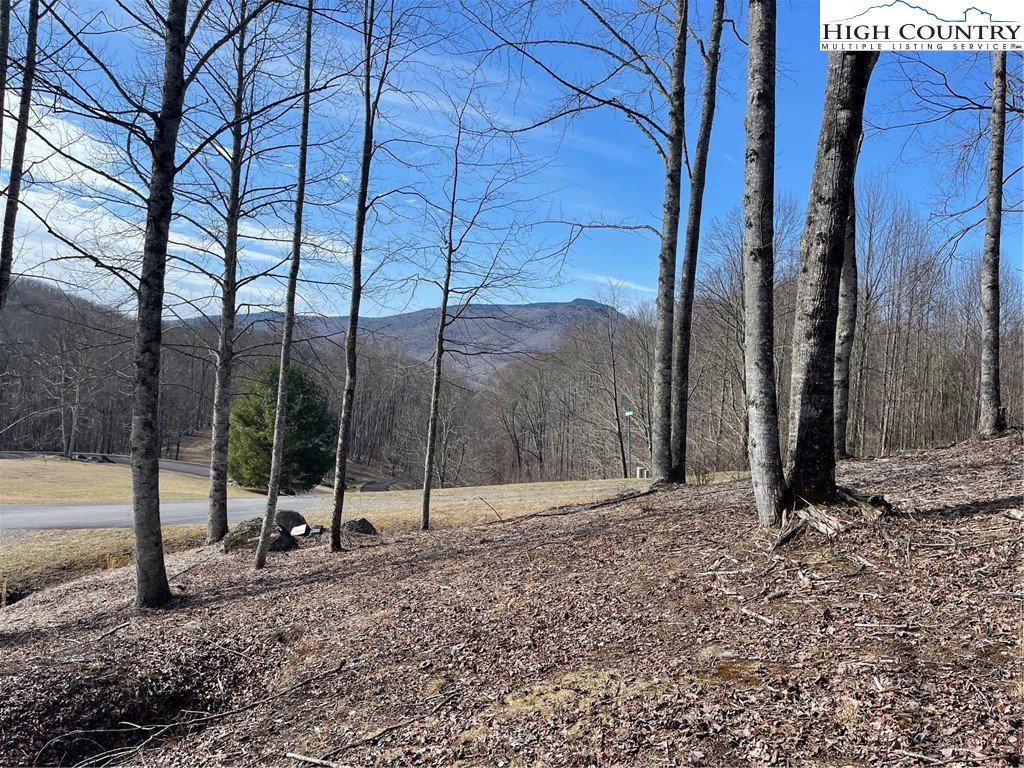 9 Jackson Ridge Road, Boone, 28607