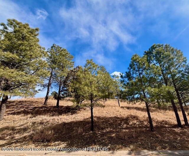 216 Sunny Slope Dr, Ruidoso, 88345