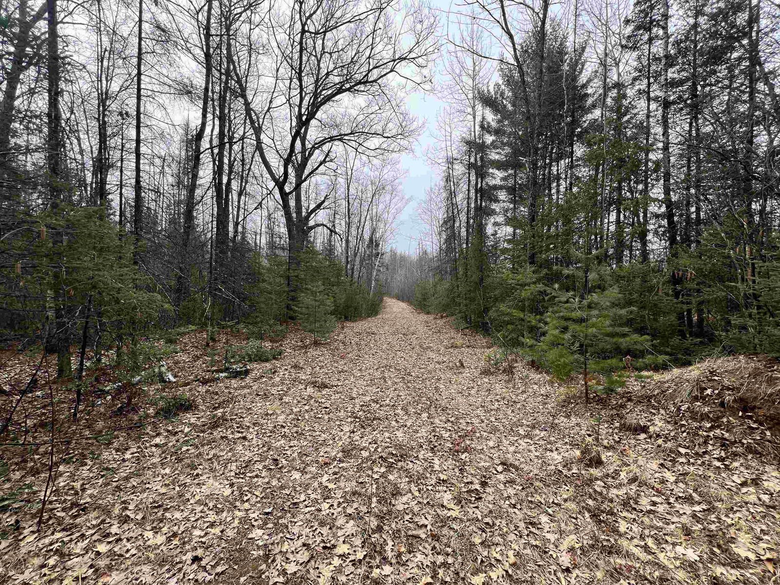 W6441 BARKER Road, Amberg, WI 54102, 54102