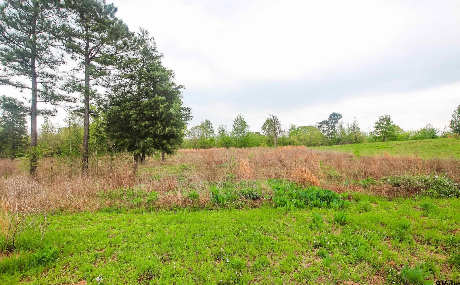 TBD (Lot 36) Ridgeline Loop, Winona, 75792