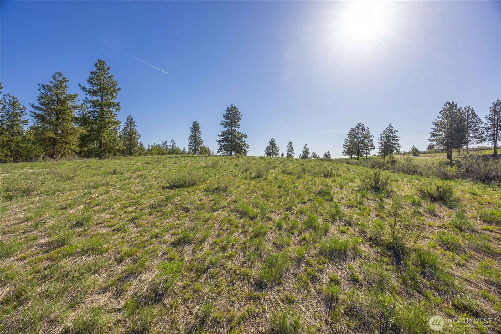 1058 L0T #8 BLAZING STAR Lane, Chelan, 98816